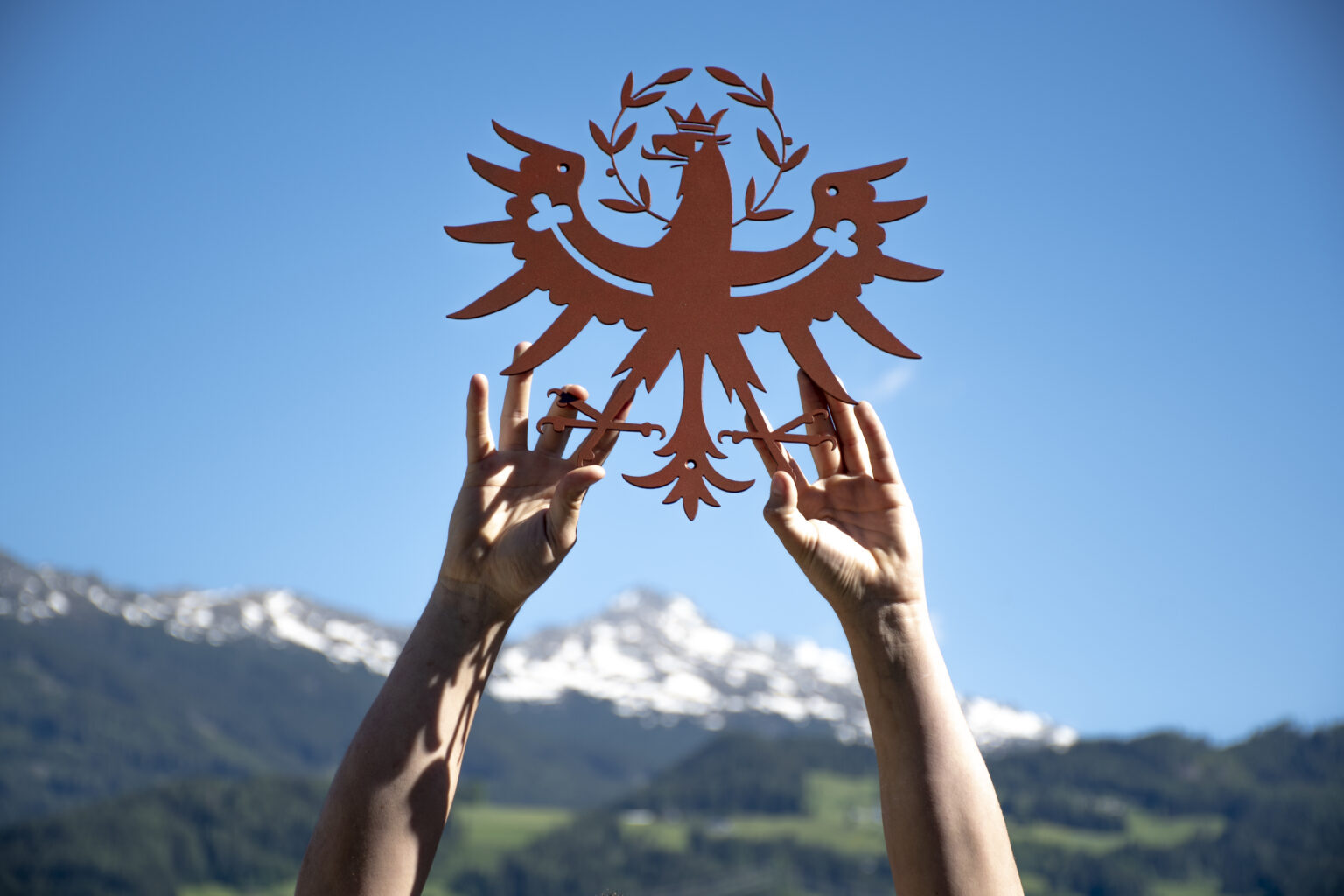 Tiroler Adler - Metall - AE-Werbetechnik